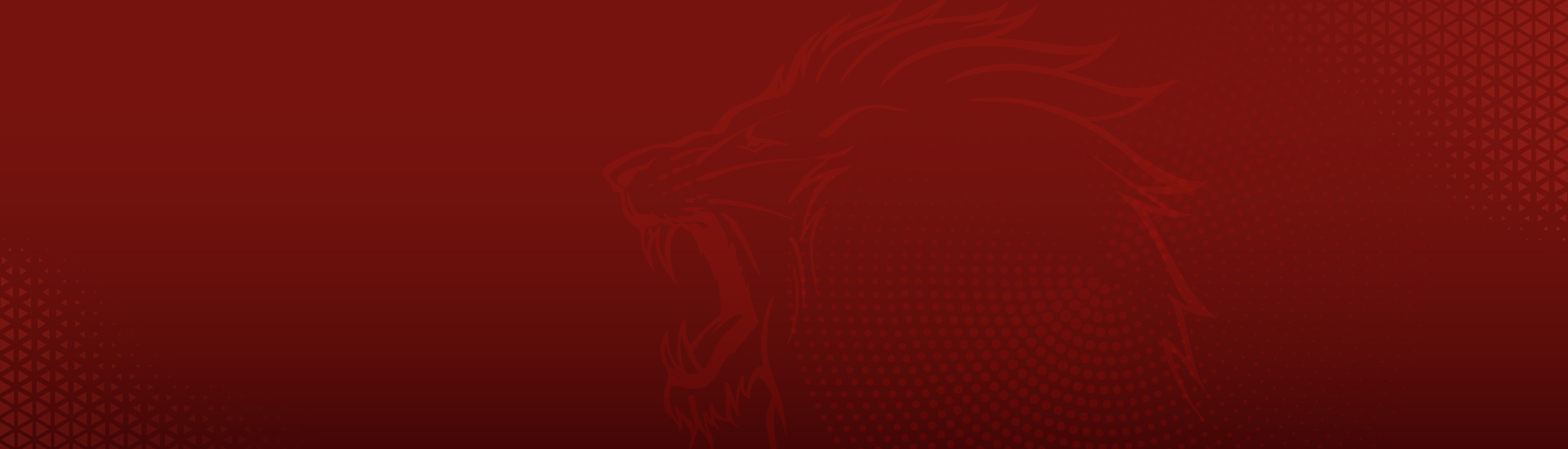 Sage IT: Leader in Digital Business Transformation & Optimization