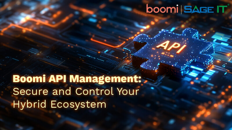 Boomi API Management: Secure and Control Your Hybrid Ecosystem